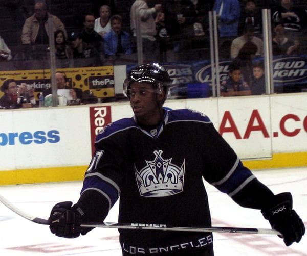 Black Hockey Players | List of Famous Black NHL Players