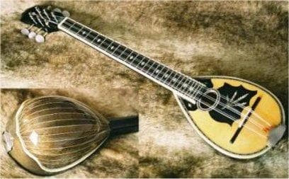 The Plucked String Instrument: List of Musical Instruments in the ...