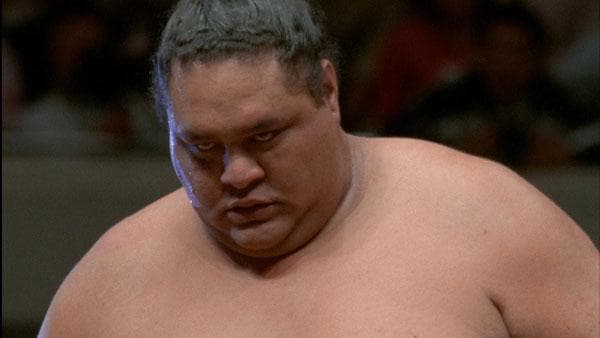 Famous Male Sumo Wrestlers | List of Top Male Sumo Wrestlers