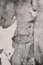 Famous Mountaineers | List of the Top Well-Known Mountaineers