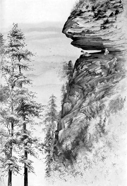 Famous Female Botanists | List of Top Female Botanists