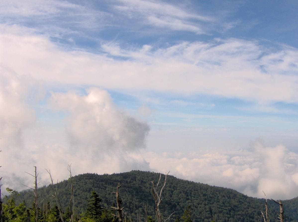 15 Great Hiking Trails In The Great Smoky Mountains, Ranked