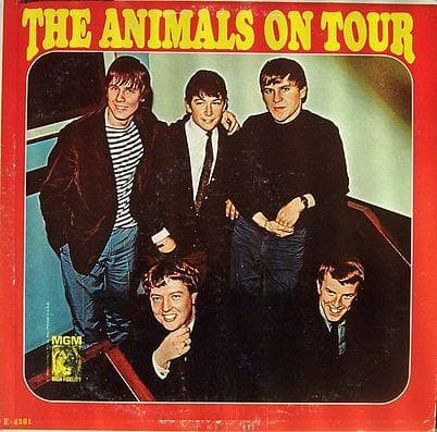 List of All Top Animals Albums, Ranked