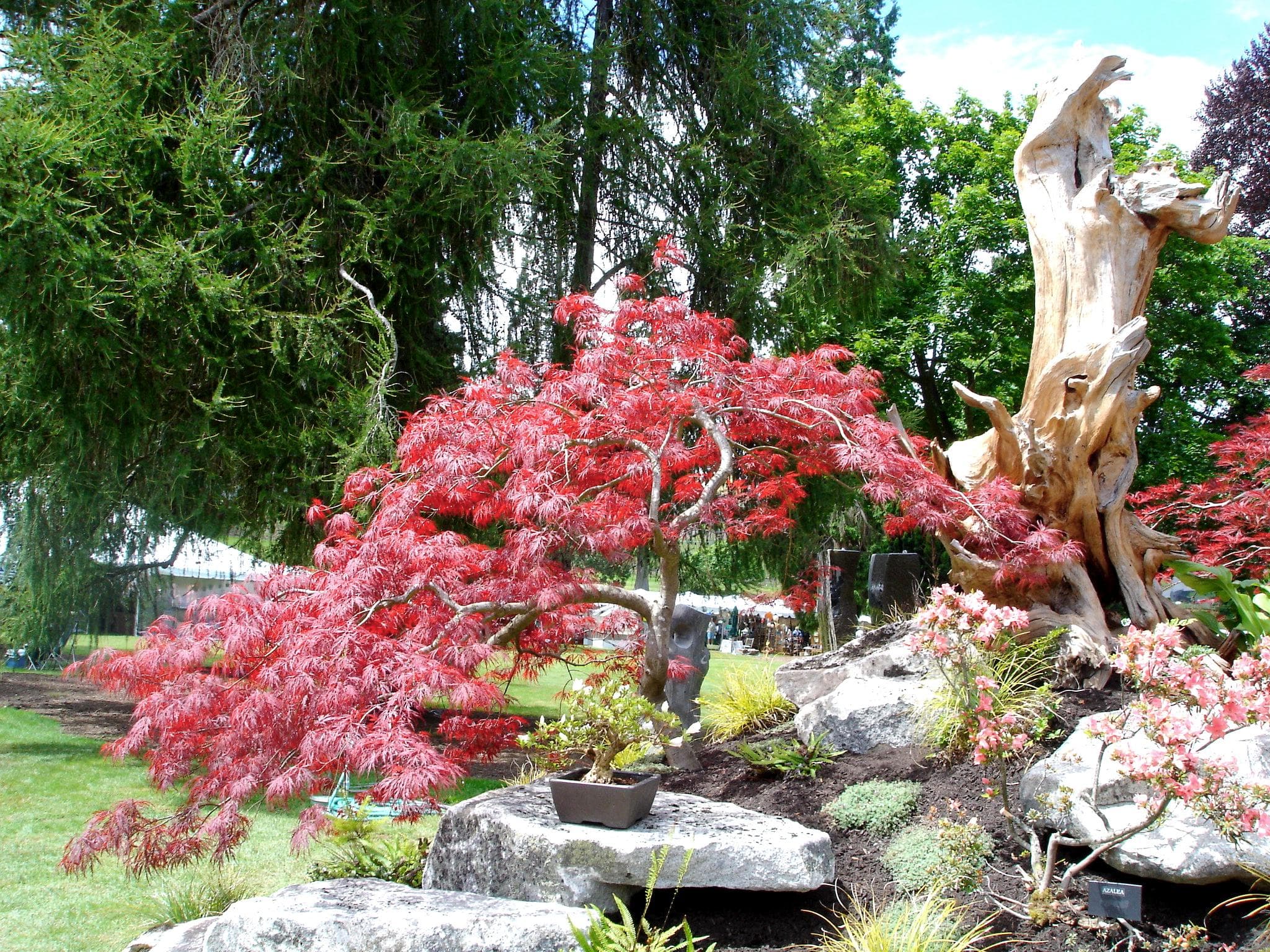 Famous Female Crime Writers | List of Top Female Crime Writers