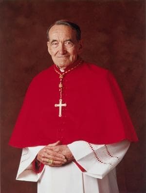 Famous Cardinals | List of the Top Well-Known Cardinals