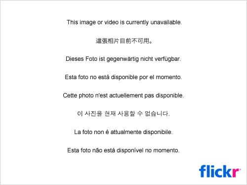 List of Movies With Fire in the Title, Ranked