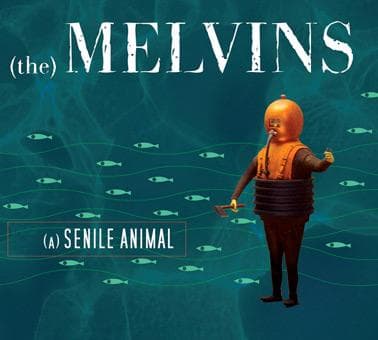 All Melvins Albums Ranked Best To Worst By Fans