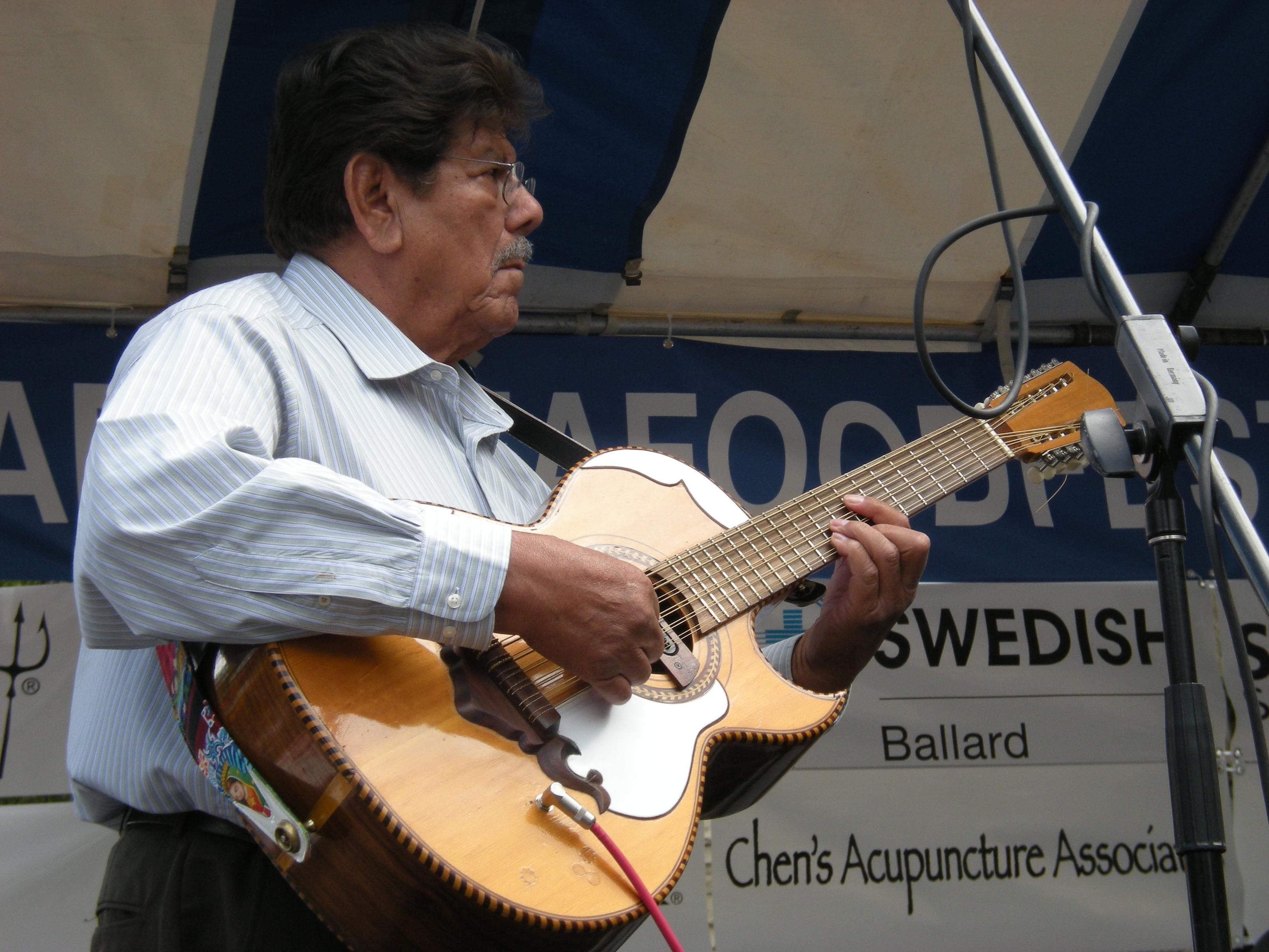 The Plucked String Instrument: List of Musical Instruments in the ...