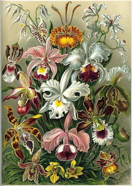 Printmaking Art | List of Famous Printmaking Artwork