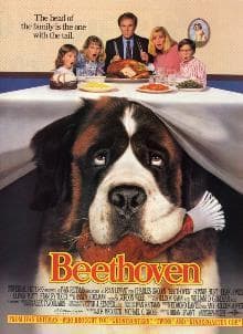 Movies Like Beethoven