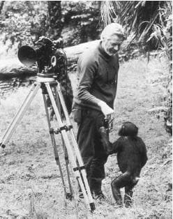 Famous Photographers from the Netherlands | List of Top Dutch Photographers