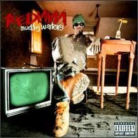 The Best Redman Albums, Ranked By Fans