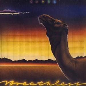 The Best Camel Albums, Ranked By Fans