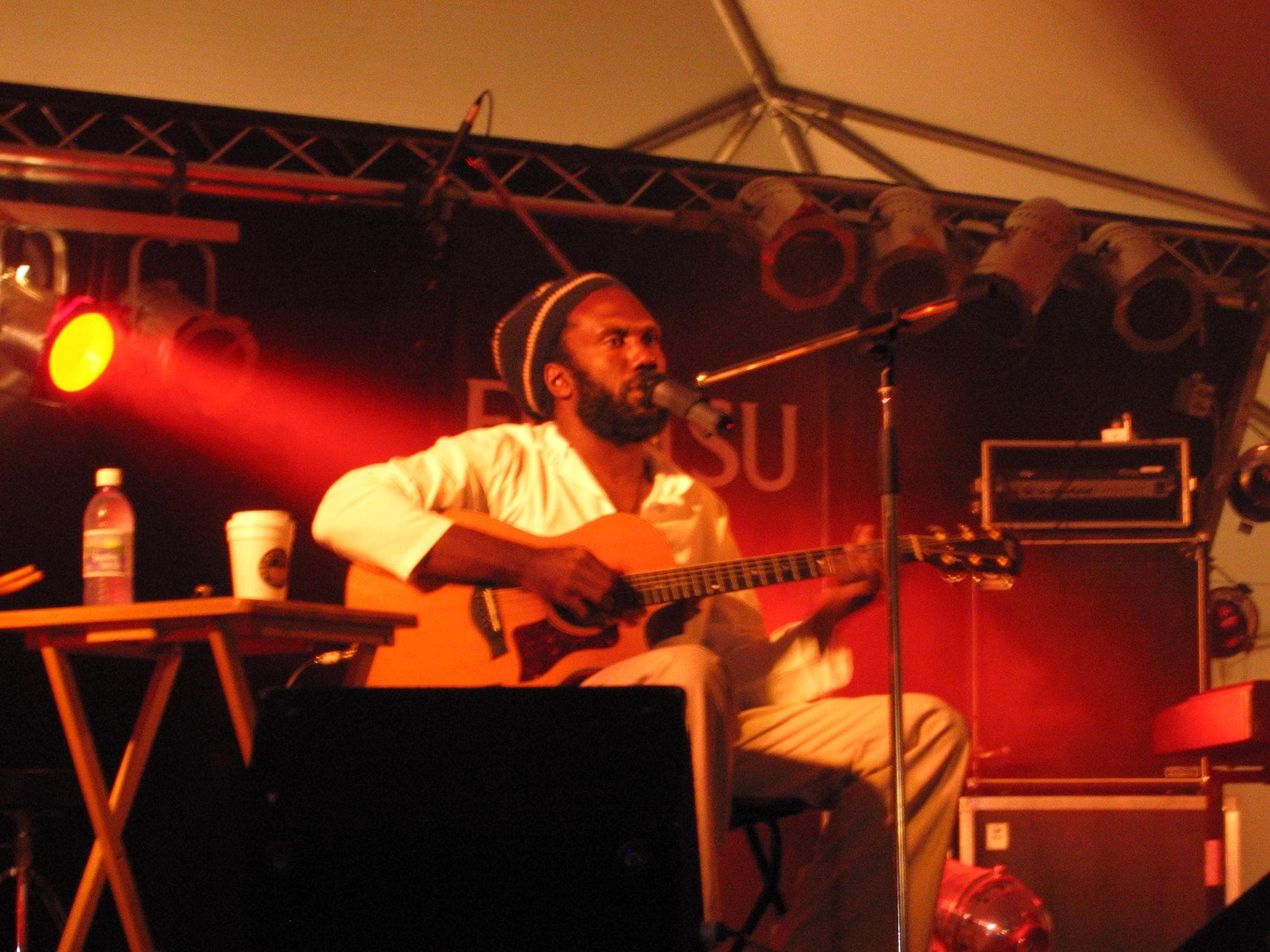 2002 Bonnaroo Lineup