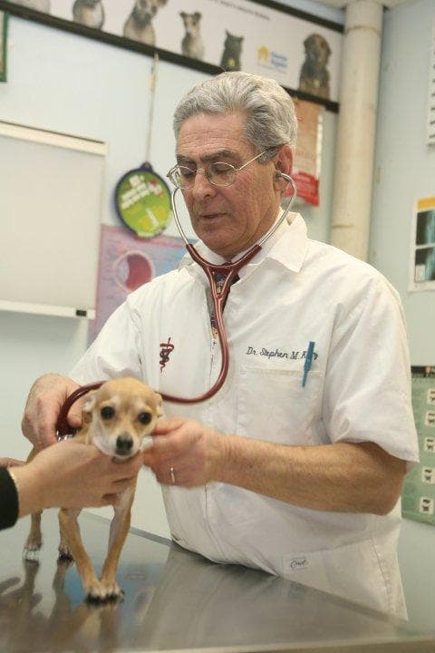Famous Male Veterinarians | List of Top Male Veterinarians