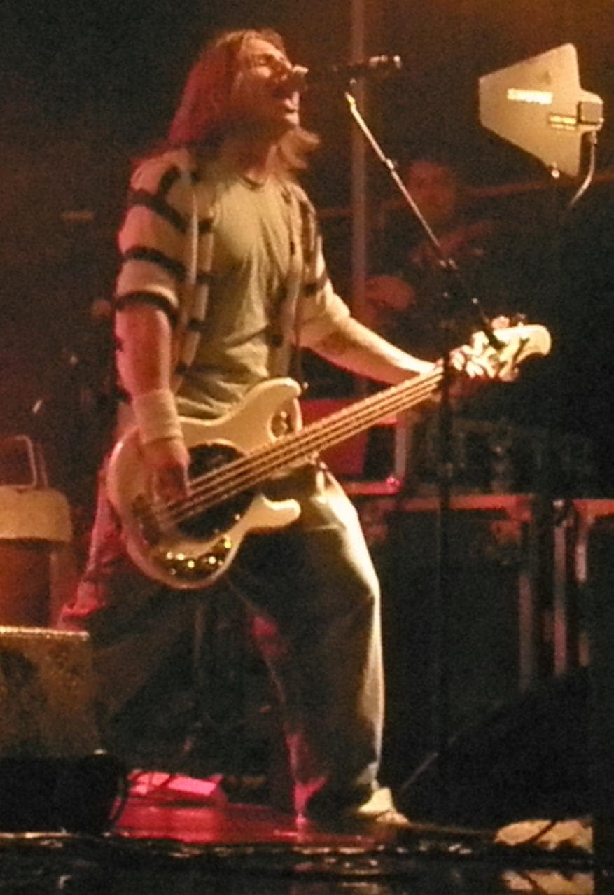 Famous Male Bassists | List of Top Male Bassists