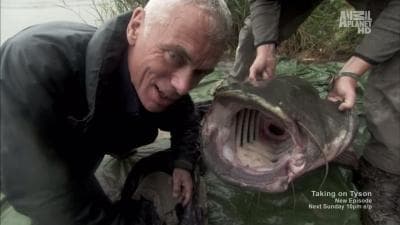 The Best Episodes Of 'River Monsters,' Ranked By Fans