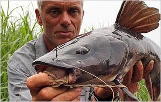 The Best Episodes Of 'River Monsters,' Ranked By Fans
