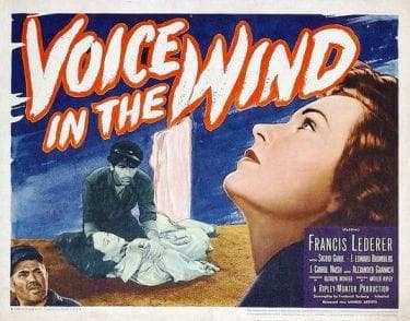 The 100 Best Movies With Wind in the Title, Ranked