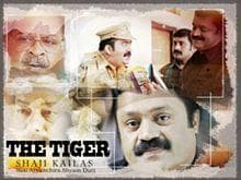 List of 50+ Movies With Tiger in the Title, Ranked