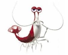 Finding Nemo Characters | Cast List of Characters From Finding Nemo