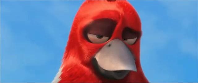 Rio Characters | Cast List of Characters From Rio