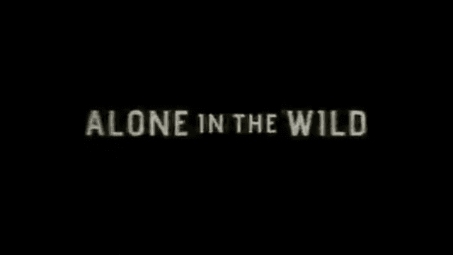 25+ Reality Survival TV Shows Like 'Alone'
