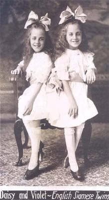 Famous Violets | List of Famous People Named Violet