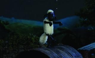 The 35 Best Movies With Sheep in the Title, Ranked