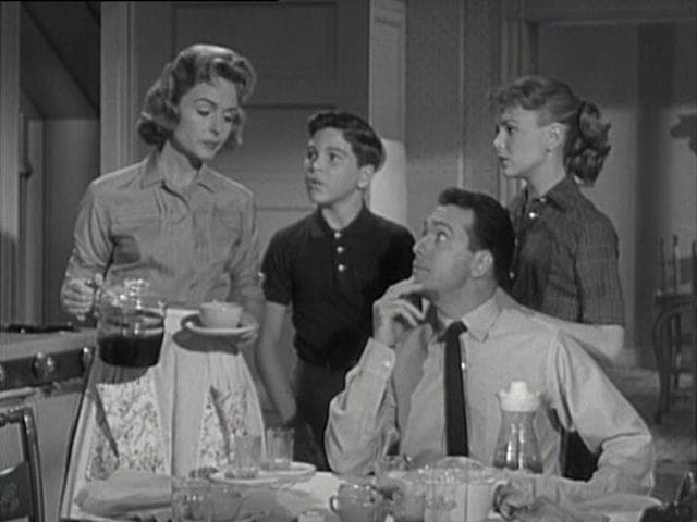 The Donna Reed Show Cast | List of All The Donna Reed Show Actors and ...