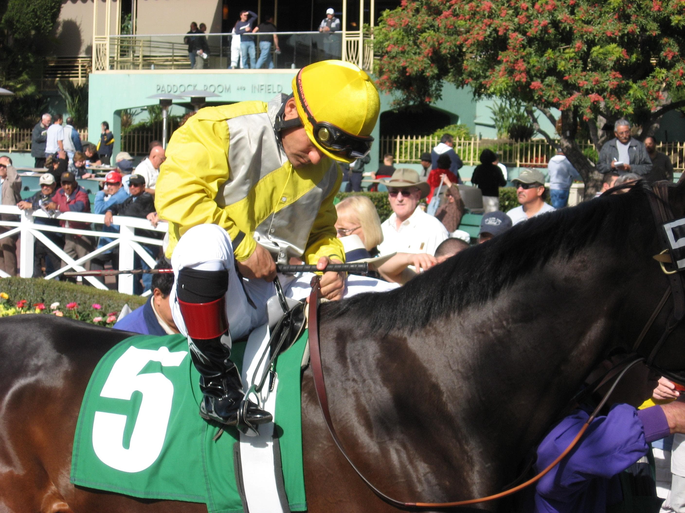 Famous Male Jockeys | List of Top Male Jockeys