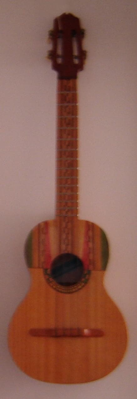 The Plucked String Instrument: List of Musical Instruments in the ...