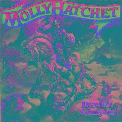 The Best Molly Hatchet Albums, Ranked By Fans