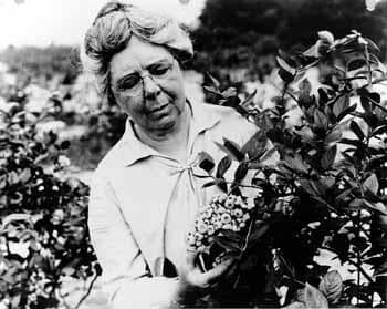 Famous Female Botanists | List of Top Female Botanists
