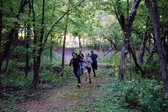 Instrumental Music Bands: List of All Instrumental Music Artists and Groups