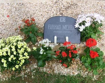 Famous Iranian Guitar Players | List of Guitar Players from Iran