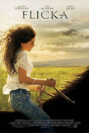 The Best Country Movies & Country Romance Movies