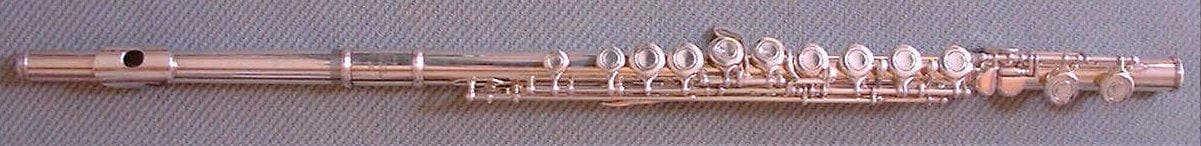 Woodwind Instrument: List of Musical Instruments in the Woodwind Family