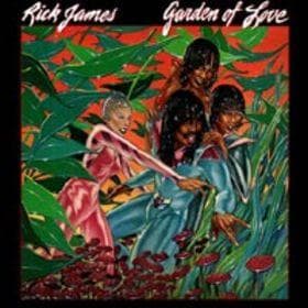 The Best Rick James Albums, Ranked By Fans