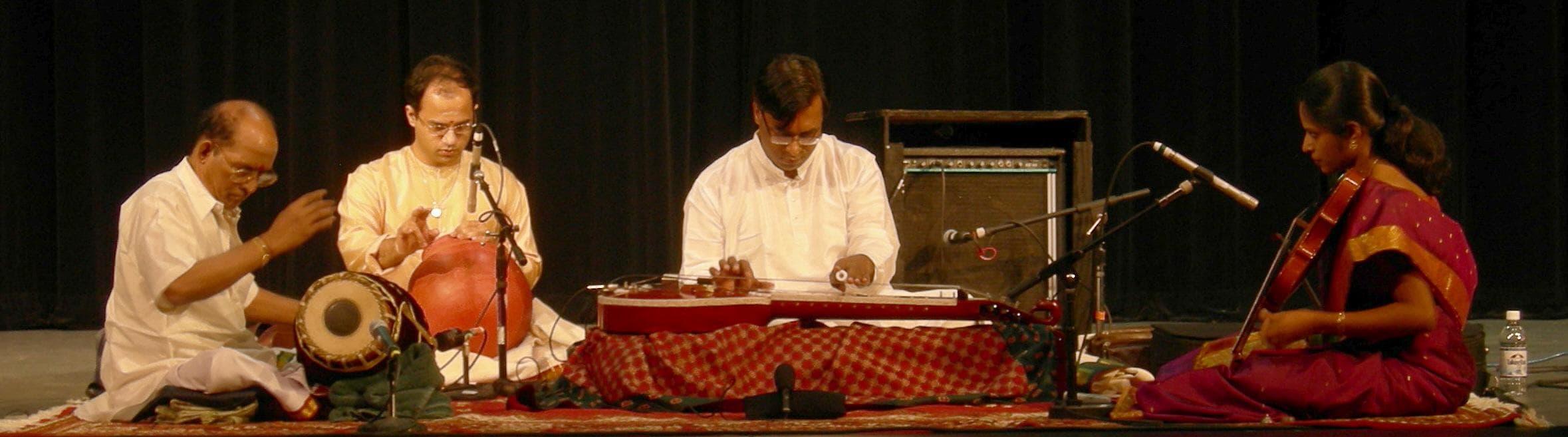 The Plucked String Instrument: List of Musical Instruments in the ...