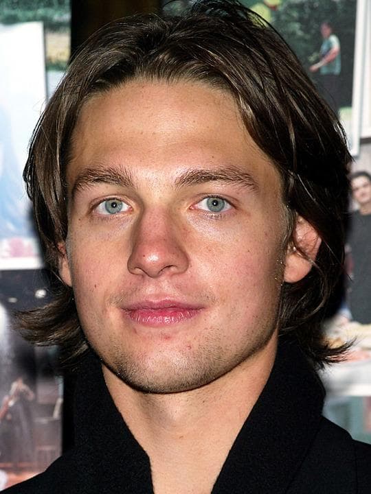 The Cast of Everwood: Where Are They Now?