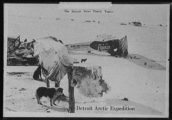 Famous Ornithologists | List of the Top Well-Known Ornithologists