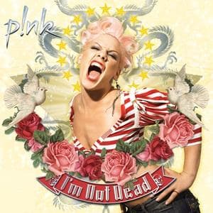 List of All Pink Albums, Ranked By Fan Votes