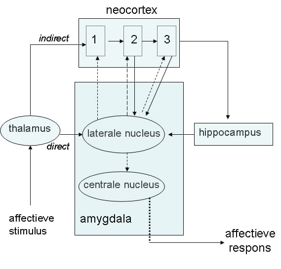 Famous Neuroscientists | List of the Top Well-Known Neuroscientists