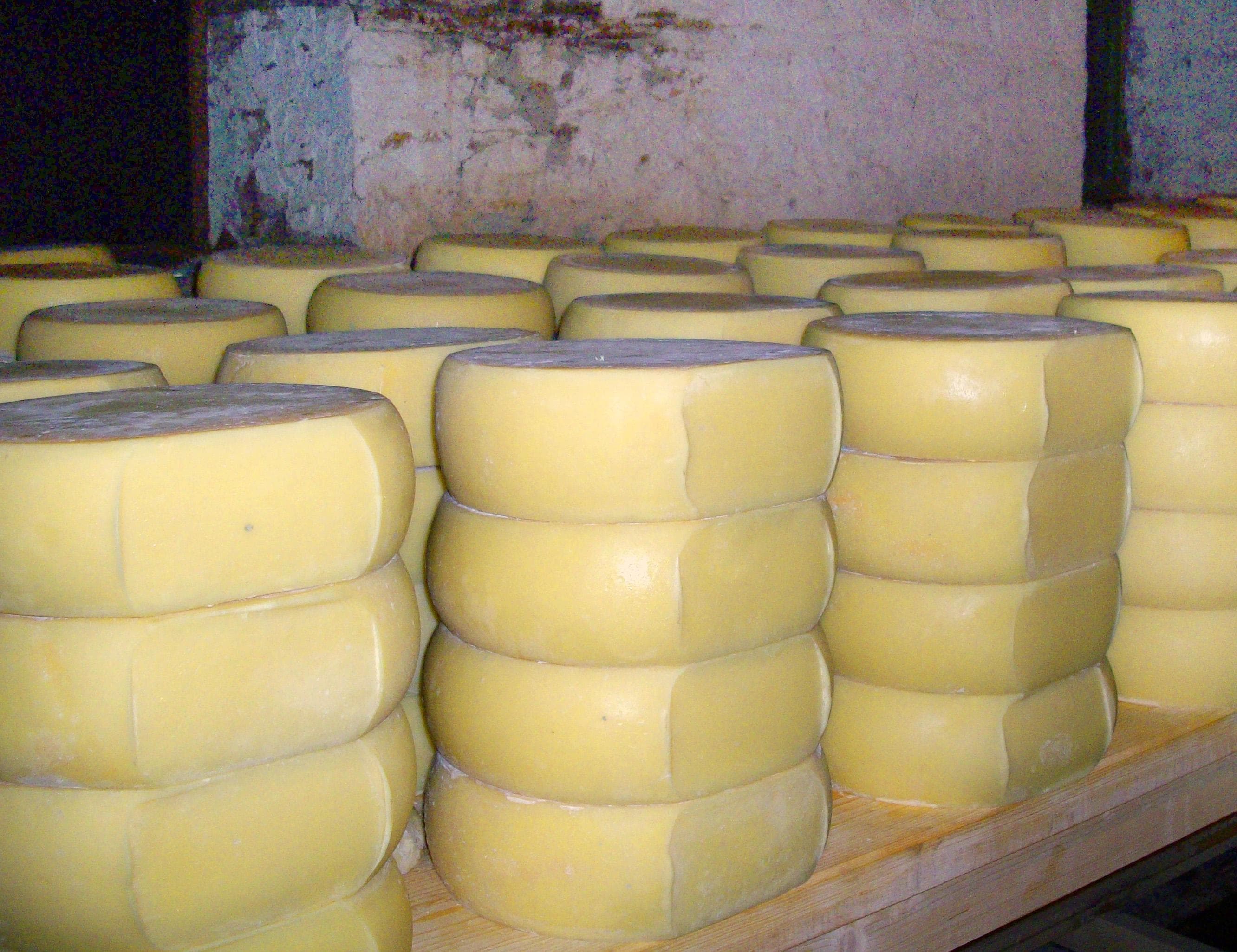 Best Cheese | List of Most Popular Types of Cheeses