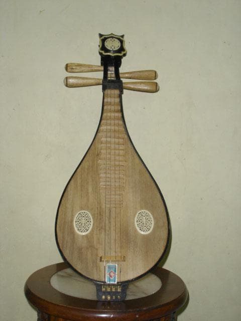 The Plucked String Instrument: List of Musical Instruments in the ...
