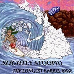 The Best Slightly Stoopid Albums, Ranked By Fans