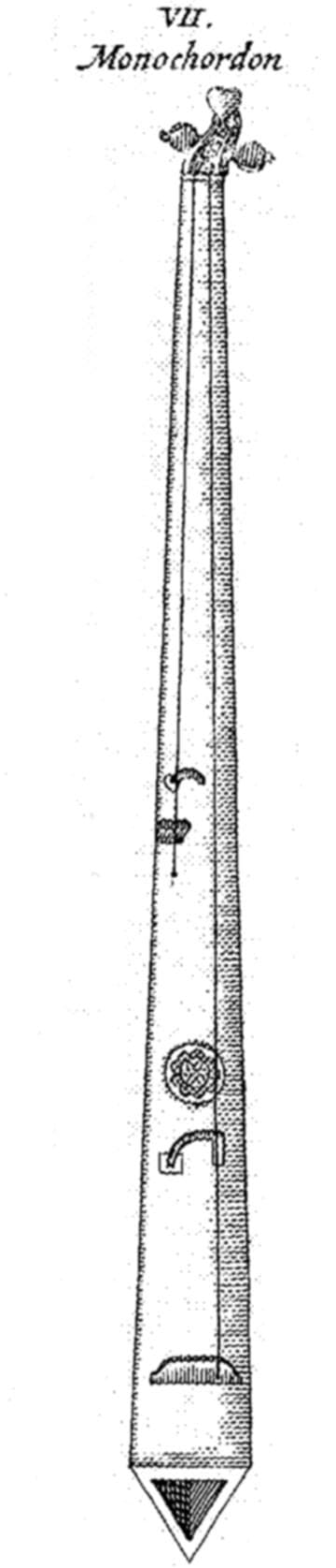 The Plucked String Instrument: List of Musical Instruments in the ...