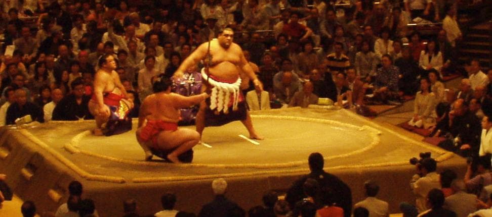 Famous Male Sumo Wrestlers | List of Top Male Sumo Wrestlers (Page 2)