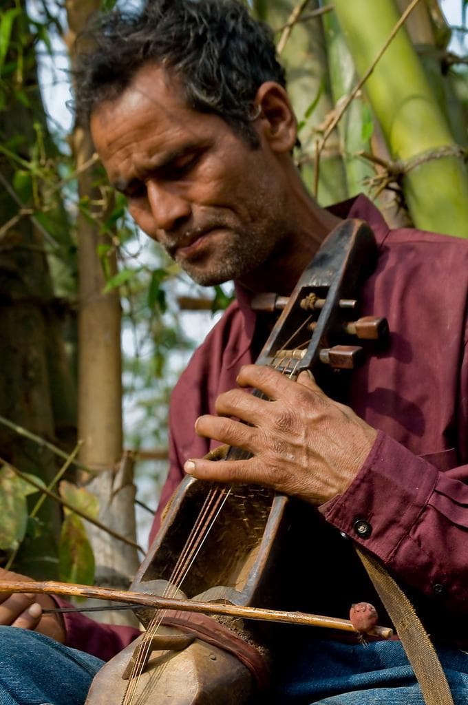 The Bowed string instruments: List of Musical Instruments in the Bowed ...